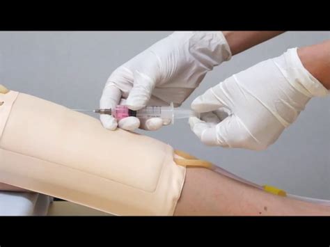 M152 1 Intramuscular Injection Model Of Buttocks Type 2 Kyoto