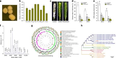 Wheat Microbiome Bacteria Can Reduce Virulence Of A Plant Pathogenic Fungus By Altering Histone