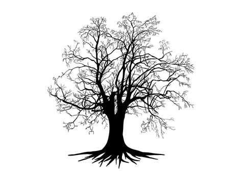 Big Black Tree And Roots 53069447 Vector Art At Vecteezy