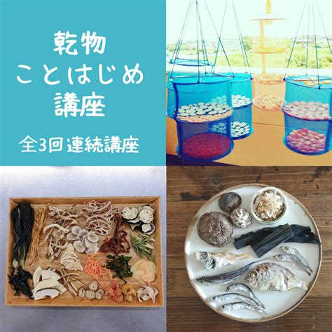 nanadryfood lit link リットリンク