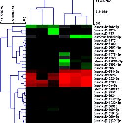 Heat Map Of MicroRNA MiRNA Microarray Expression Data From Plasma
