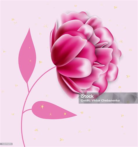 핑크 배경에 고립 된 사실적인 핑크 모란 꽃 봉오리 벡터 일러스트 레이 션 개화기에 대한 스톡 벡터 아트 및 기타 이미지