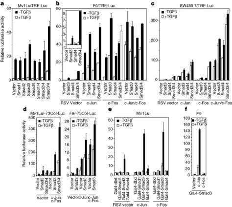 Smad3 And Smad4 Cooperate With C Junc Fos To Mediate Tgf β Induced