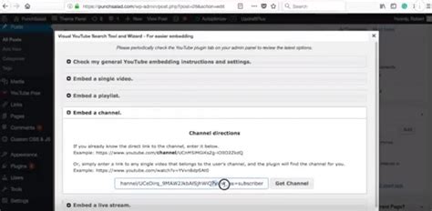 Embed YouTube Video Ultimate Guide PunchSalad