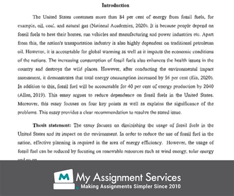 Narrative Essay Examples Usa My Assignment Services