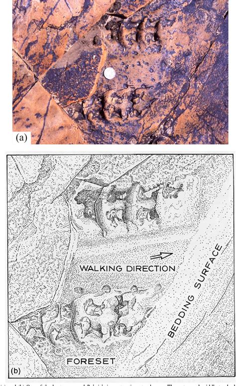 Mutsmutlmuth Pathway Semantic Scholar