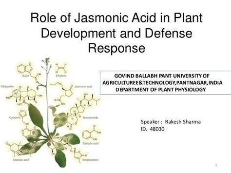Jasmonic Acid Alchetron The Free Social Encyclopedia