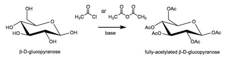 Monosaccharides Acylation Organic Chemistry Video Clutch Prep