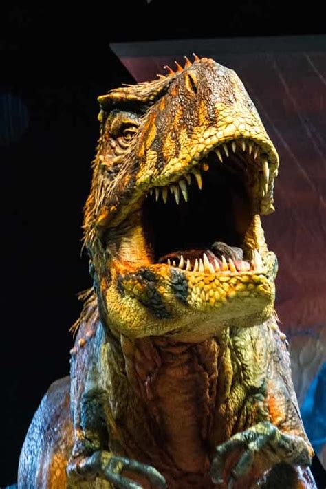 Walking With Dinosaurs O2 Arena Tickets London Box Office