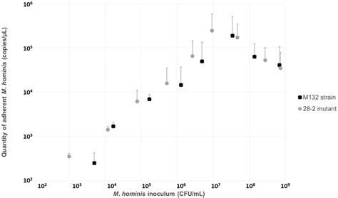 Test Of Adhesion To Hela Cells The Graph Shows The Quantity Of Adhered Download Scientific
