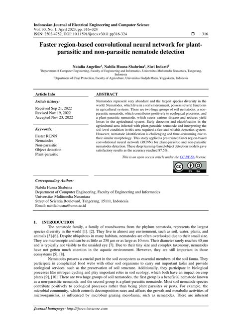 pdf faster region based convolutional neural network for plant