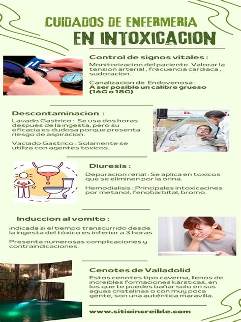 Infografia De Intoxicacion Pdf