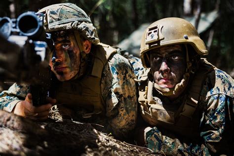 Dvids Images 3d Llb Field Exercise [image 6 Of 6]