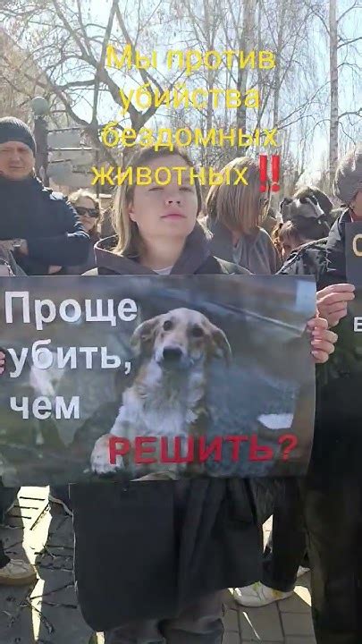 мы против убийства бездомных животных‼️ Youtube