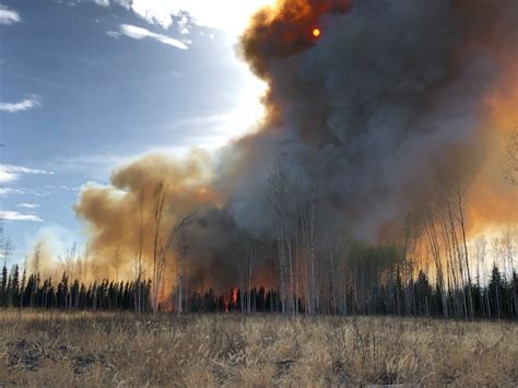 Fire And Ecosystems Research Lab