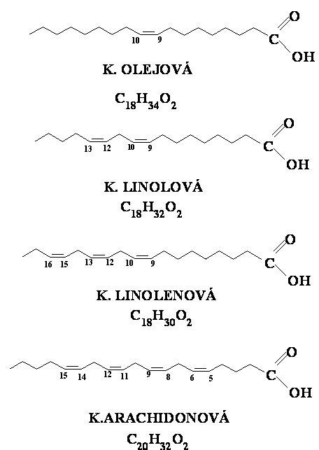 Lipidy