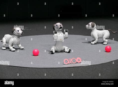 Tokyo Japan 1st Nov 2017 Sonys New Robot Aibo On Display