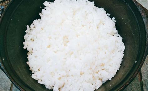 ARROZ GOHAN ARROZ JAPONÊS Sem Segredo Recipe Food Rice Grains