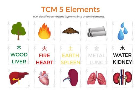 Tcm 5 Elements Ouch Pte Ltd