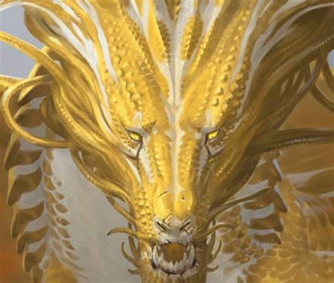 Dandd 5e 2024 Check Out The New Monster Manuals Ancient Gold Dragon