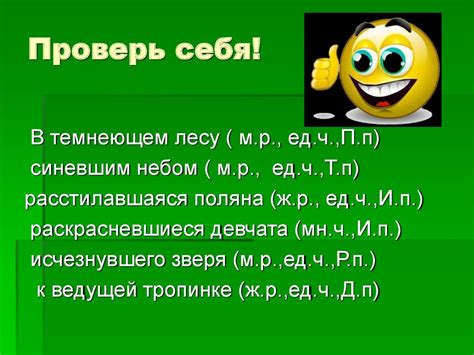 Причастие как часть речи урок русского языка в 7 классе презентация