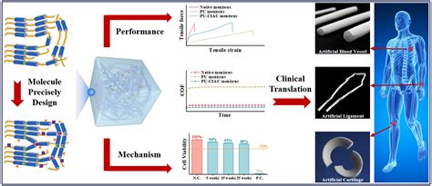 Research Molecular Rheology Laboratory