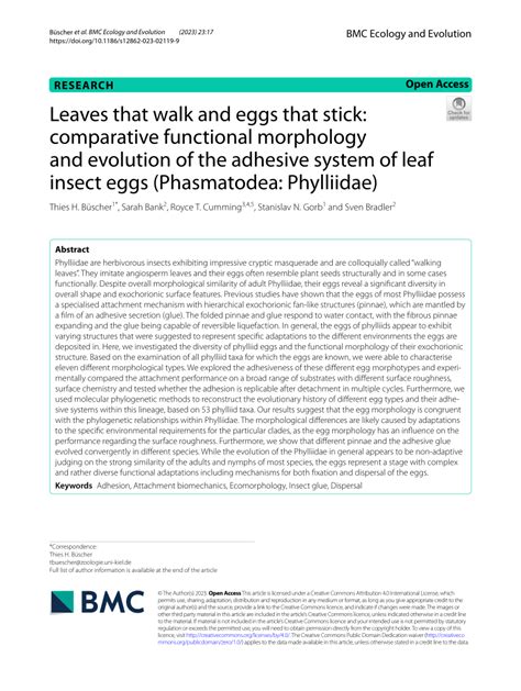 Pdf Leaves That Walk And Eggs That Stick Comparative Functional Morphology And Evolution Of