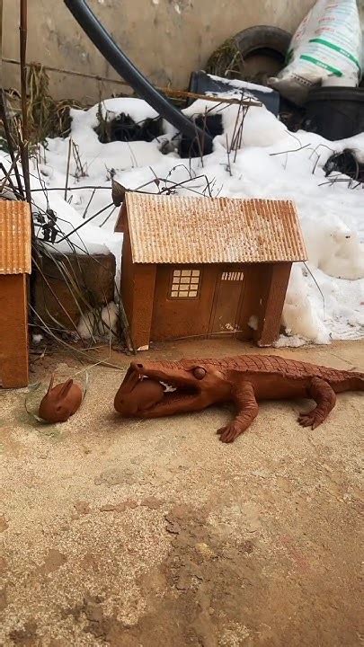 কুমির 🐊খরগোশগুলো খেয়ে শেষ করে দিল 🐇 😭🥺 Youtubeshorts Shorts Short