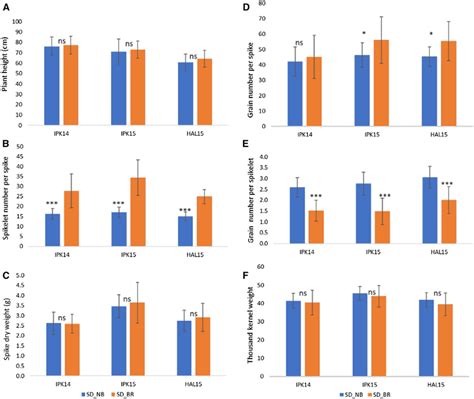Comparison Of Selected Semi Dwarf RILs With And Without QSS Ipk 2A And