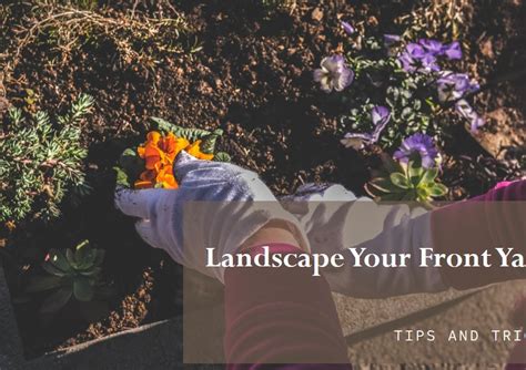 2025 a comprehensive guide to optimizing your 3d rendering approach for maximum speed archova