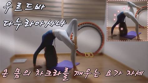 요가 수련하기 우르드바 다누라아사나 활 자세 아치 자세 Youtube