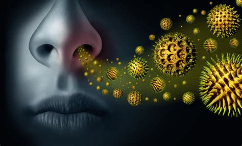 3 Huiles Essentielles Contre Le Rhume Des Foins