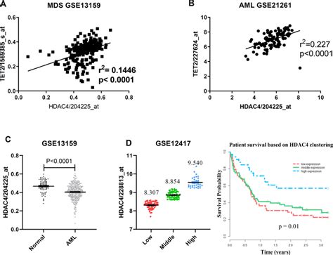 Tet2 And Hdac4 Expression Is Positively Correlated In High Risk