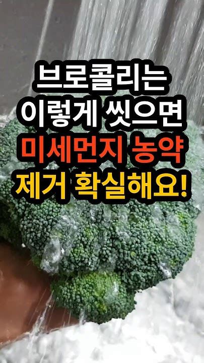 브로콜리를 이렇게 씻으면 미세먼지 농약제거 확실합니다 브로콜리 씻는 방법 브로콜리 세척브로콜리씻는법 브로콜리세척법 Youtube