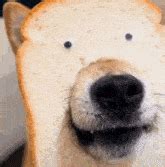 Bread Fall  Bread Fall Bread Falling Discover And Share S