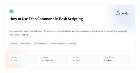 How To Use Echo Command In Bash Scripting Labex