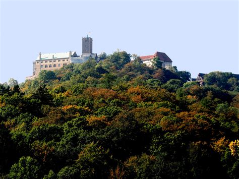 Free Images Coast Tree Nature Mountain Sky Skyline Hill Flower