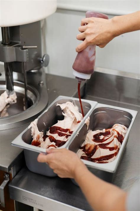 Raspberry Chip Ice Cream