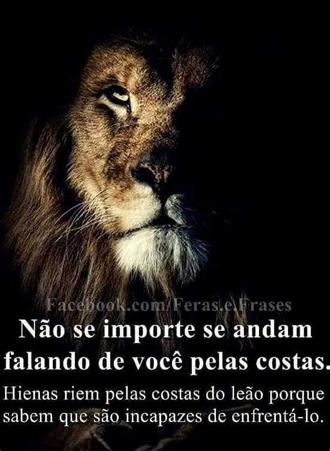 Pin By Andrea Ferreira On Crescimento Pessoal Lion Quotes Inspirational Quotes Motivation