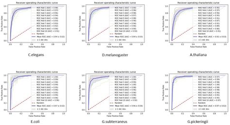 Genes Free Full Text I4mc Deep An Intelligent Predictor Of N4 Methylcytosine Sites Using A