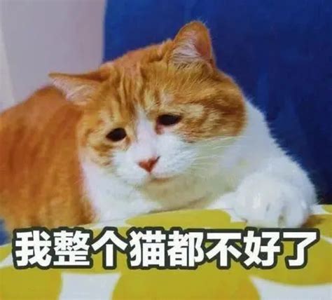 孕期见红除了流产还有这3种危险情况 医学界 助力医生临床决策和职业成长