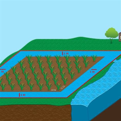 Gambar 1 Penyampaian Materi Tentang Konsep Teknologi Buffer Zone Ke