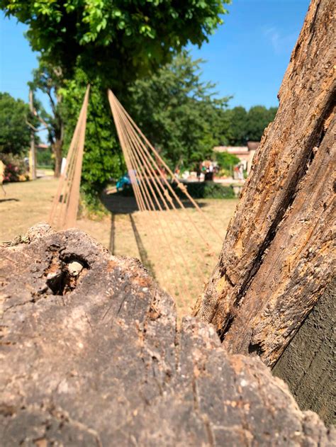 Il Raggio Steve Ingham