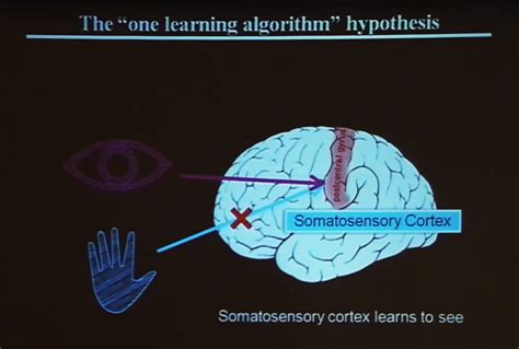 [ archived post ] andrew ng deep learning self taught learning and