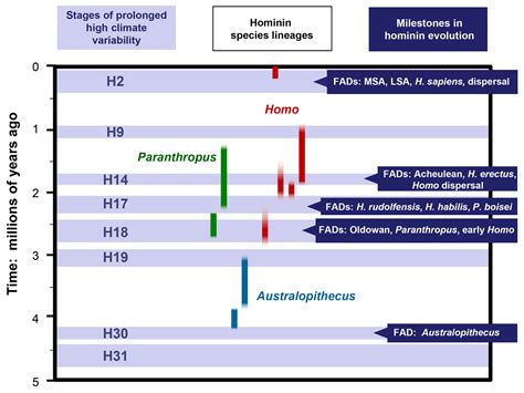 How Did New Species Arise Atlas Of Science