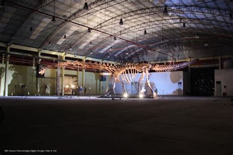 Scientists Unearth Largest Dinosaur Species In Patagonia