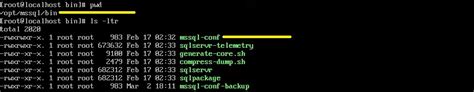 Database Administrators World Enabling Trace Flags In Sql Server