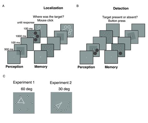Task Design Trial Sequence For A Localization And B Detection