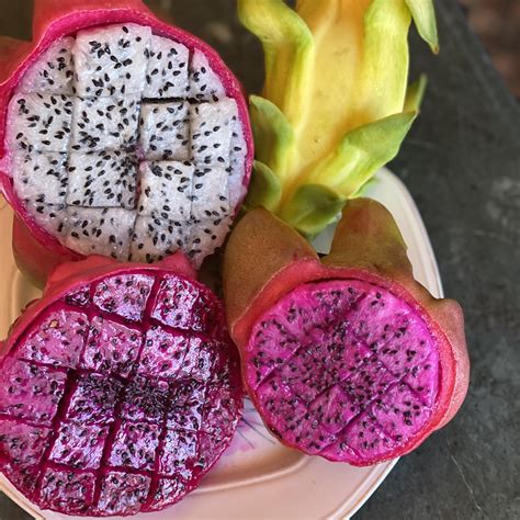 زراعة الدراجون فروت Dragon Fruit 6 October City