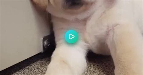 Trying To Sleep In An Airplane Seat  On Imgur